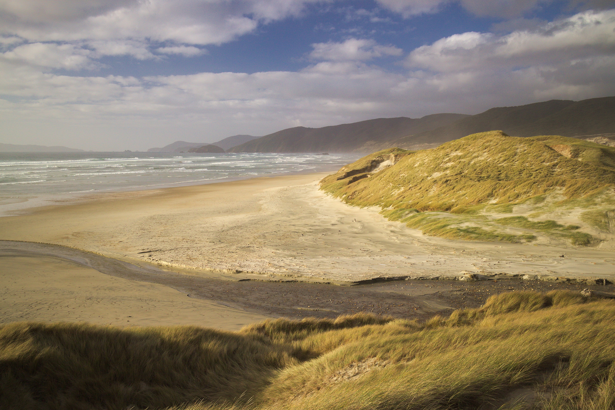 Mason Bay, Stewart Island, New Zealand [2000x1334] [OC] : r/EarthPorn